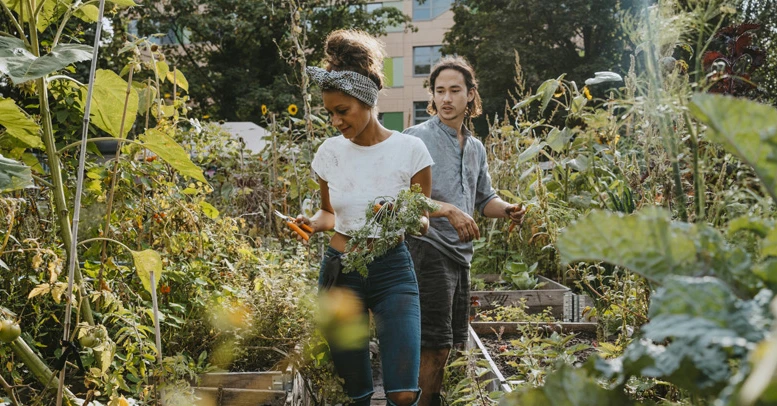 Tout savoir sur l'habitat participatif